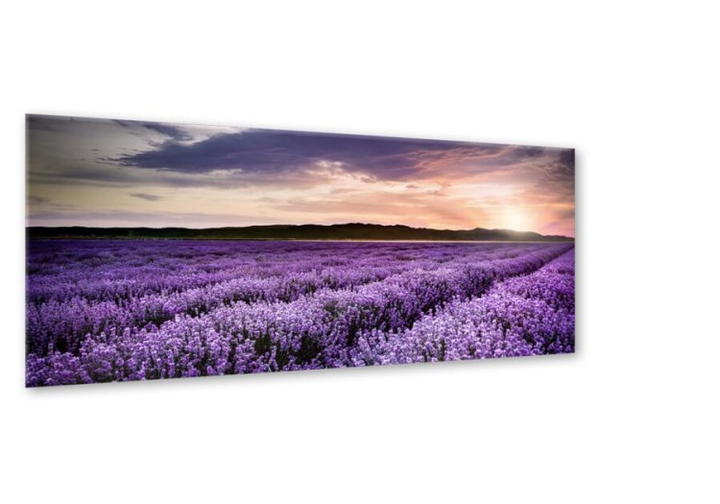 სურათი მინაზე Styler LAVENDER FIELD EX372 50X125 - Extra.ge - 722019