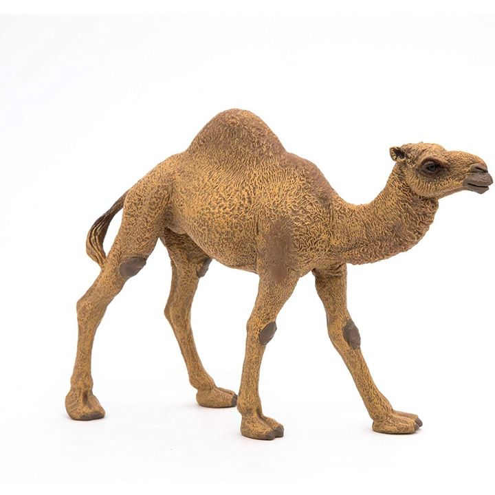 Papo სათამაშო ფიგურა l არაბული ერთკუზიანი აქლემი - Extra.ge - 730417