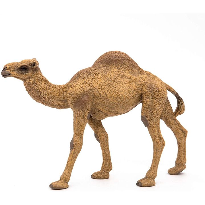 Papo სათამაშო ფიგურა l არაბული ერთკუზიანი აქლემი - Extra.ge - 730417