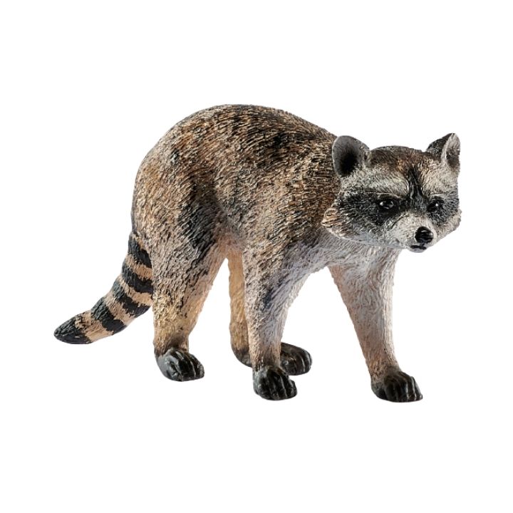 Schleich სათამაშო ფიგურა Raccoon - Extra.ge