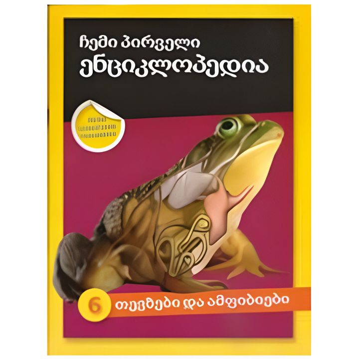 ჩემი პირველი ენციკლოპედია წიგნი 6 (თევზები და ამფიბიები) - Extra.ge