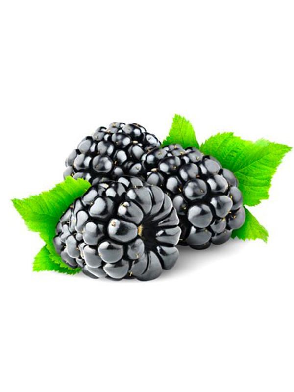 მაყვალი - Extra.ge